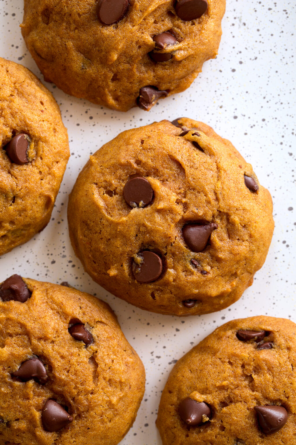 Pumpkin Chocolate Chip Cookies - Cooking Classy